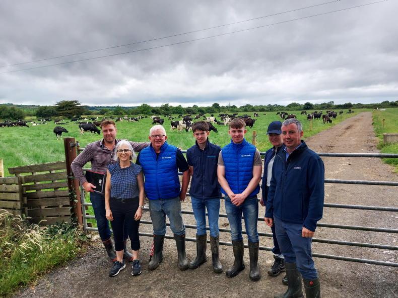 Tidy operators in north Kerry - Free