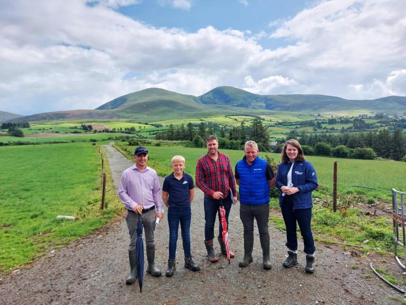 Getting the basics right in Rathmore - Free