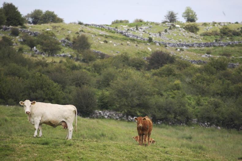 Deadline for submission of ACRES scorecards extended by four weeks - Free