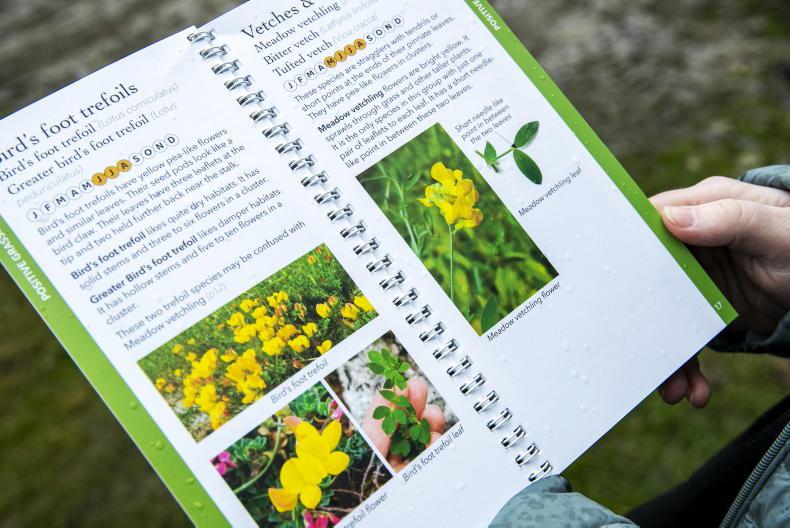 ACRES scorecard deadline extension was ‘badly needed’ - Sinn Féin - Free