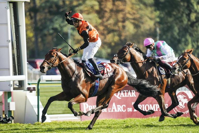 Irish Horse: Arc Ace could have big Impact for French racing - Free