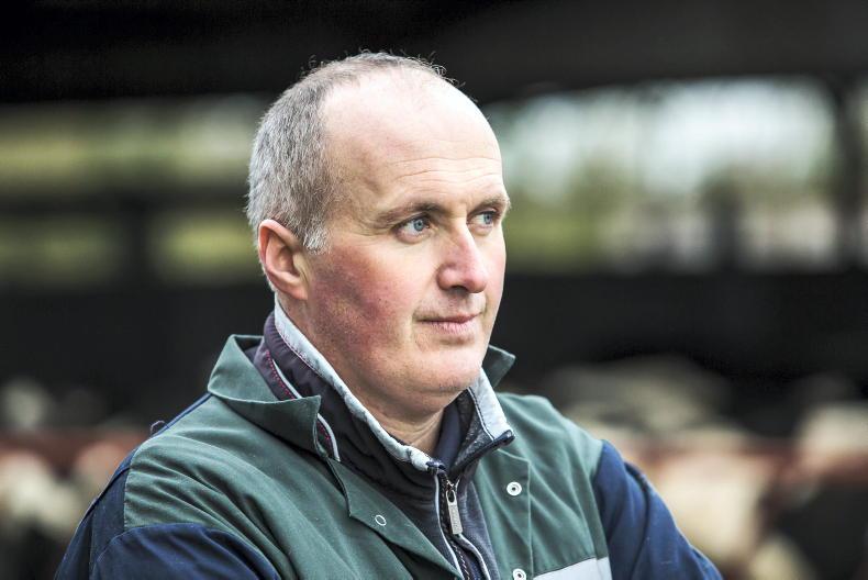 ICMSA puts five nitrates measures on table ahead of new review - Free