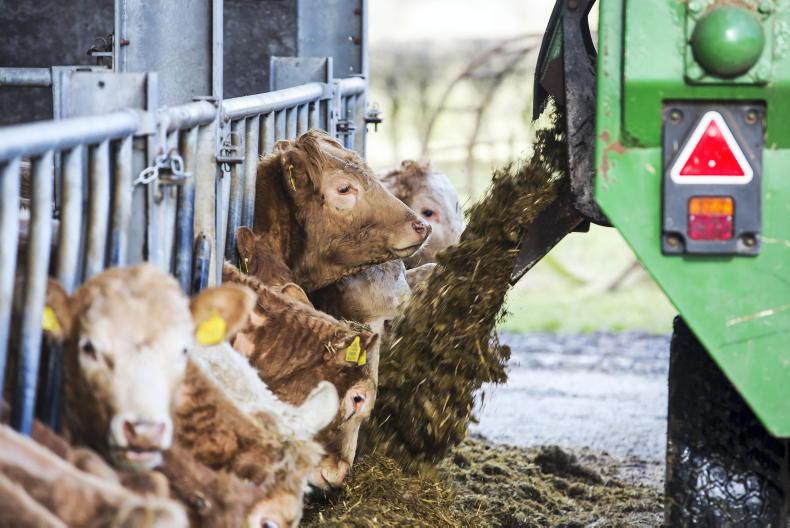 Fodder budgeting and dealing with wet silage - Premium