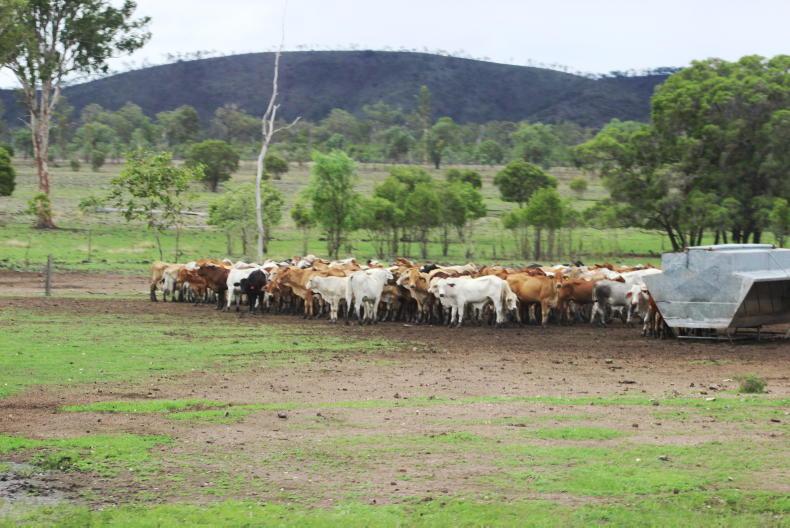 Carbon farming in Australia - Free