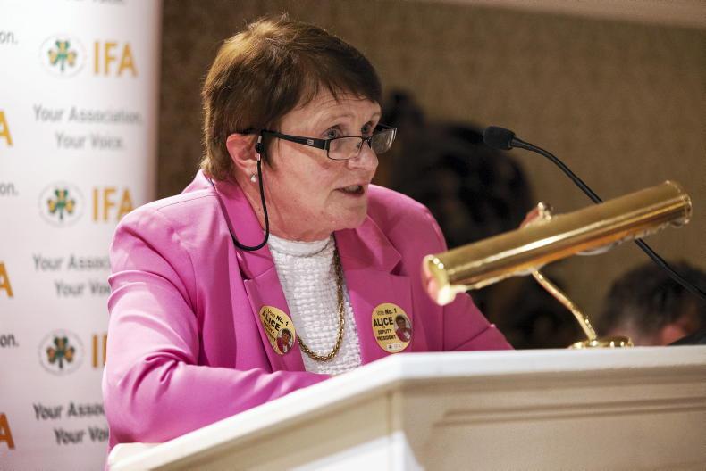 Alice Doyle wins IFA’s deputy presidential race - Free