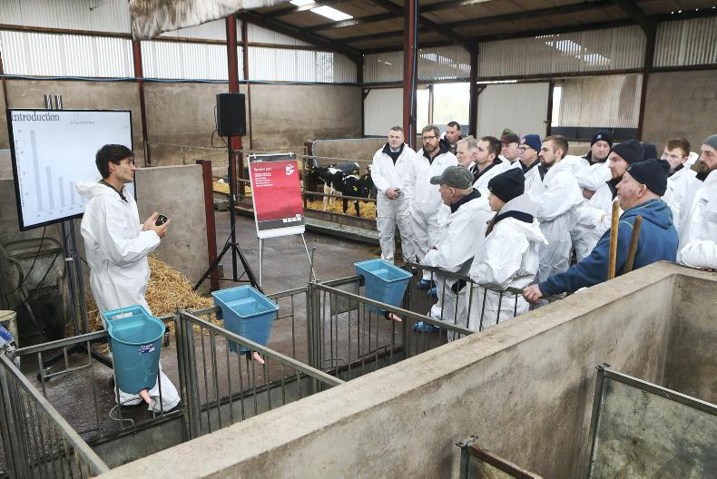 Irish Farmers Journal – For the Latest Farming News in Ireland