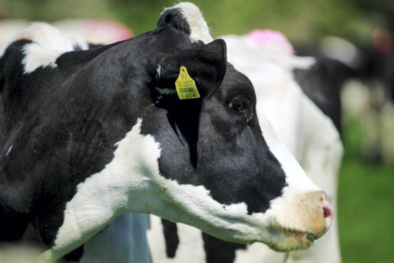 Slurry export changes expected to be in play by May - Free