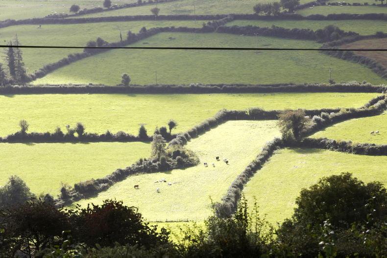 UK farms to face huge inheritance tax bills - Premium UK farms to face huge inheritance tax bills - Premium