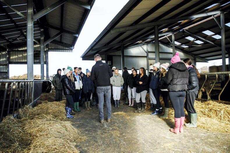Irish Farmers Journal – For the Latest Farming News in Ireland