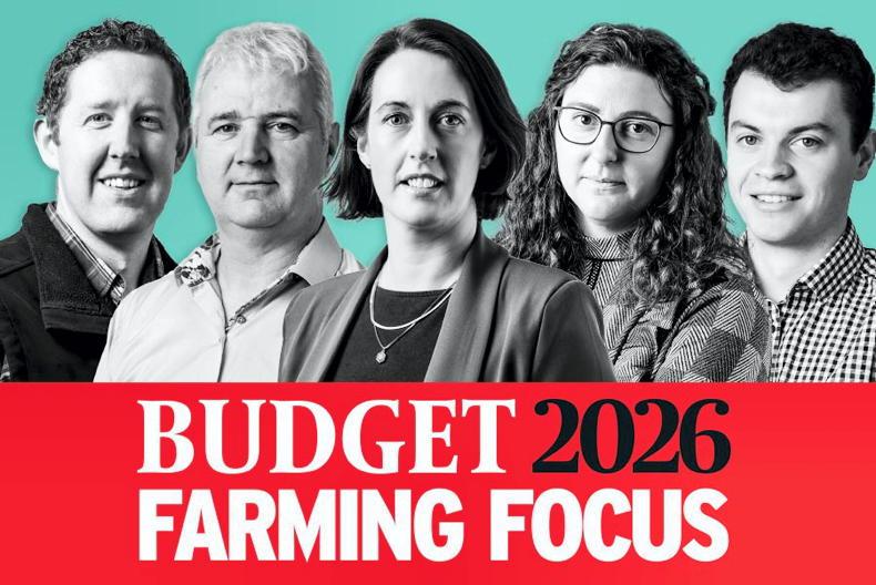 Irish Farmers Journal – For the Latest Farming News in Ireland