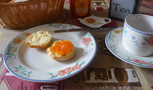 Le lait - Les traitements thermiques du lait - Un article par Chef Simon