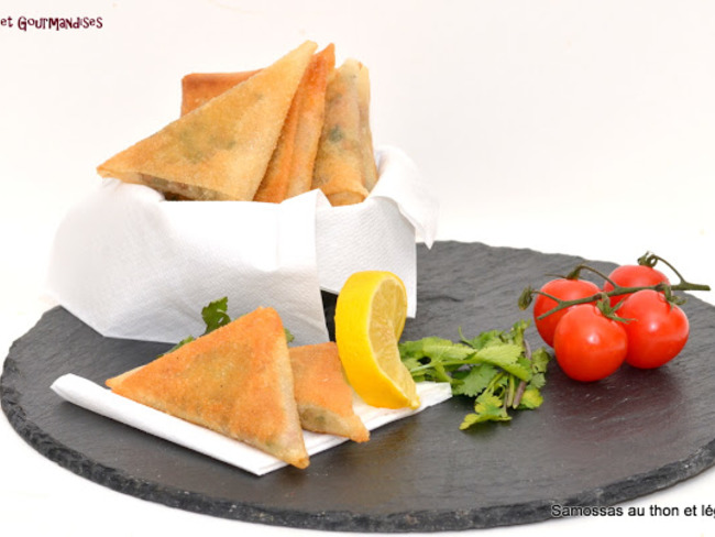 Samossas au Thon et aux Légumes. - Recette par Nadji