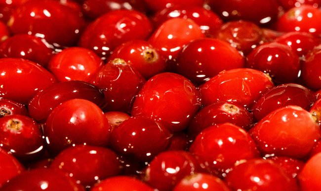 Recettes de cranberries