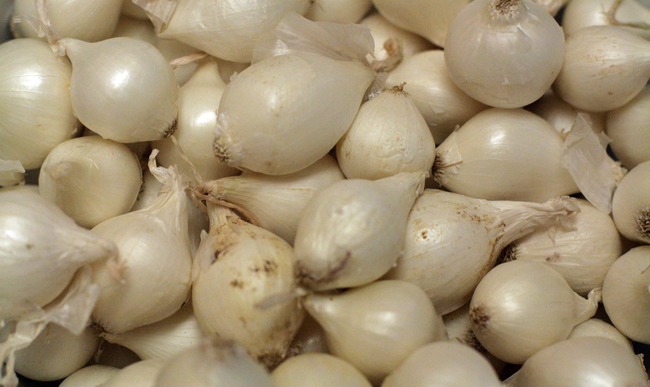 Recettes d'oignons grelots : des idées de recettes faciles et originales