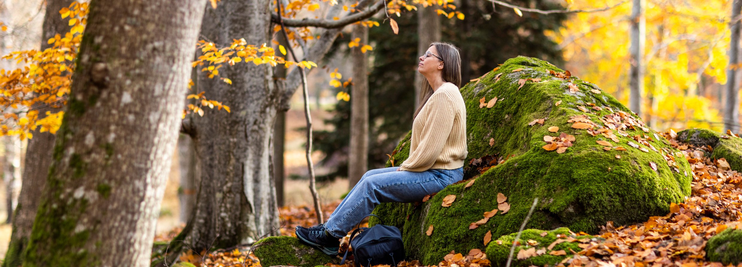 Fyra trender inom naturturism | Visit Sweden
