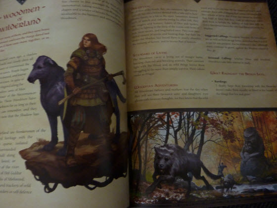 The One Ring: Adventures over the Edge of the Wild RPG review