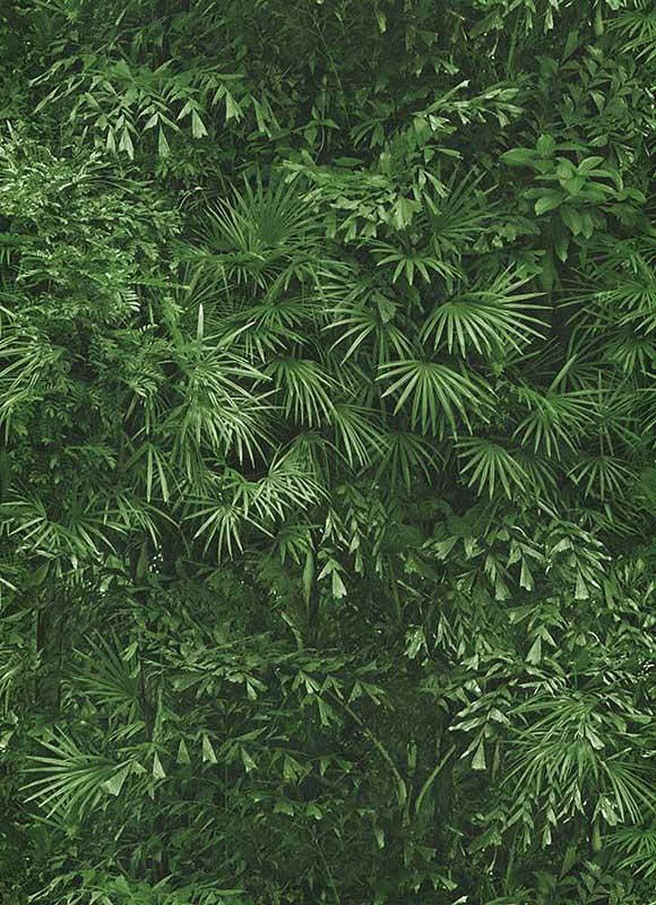 Green Leaf Birds Tropical Wallpaper Vinyl Jungle Animal Print Floral ...