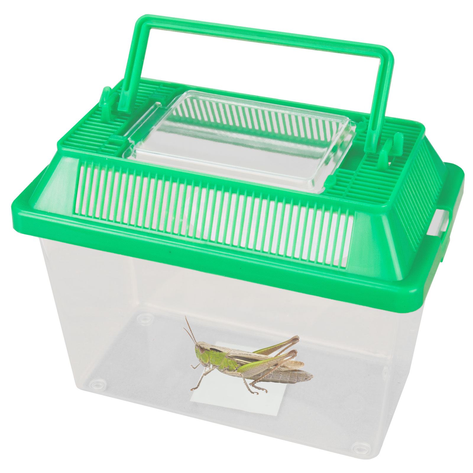 Small Animal Keeper Clear Plastic Box Tank With Ventilated Opening Lid ...