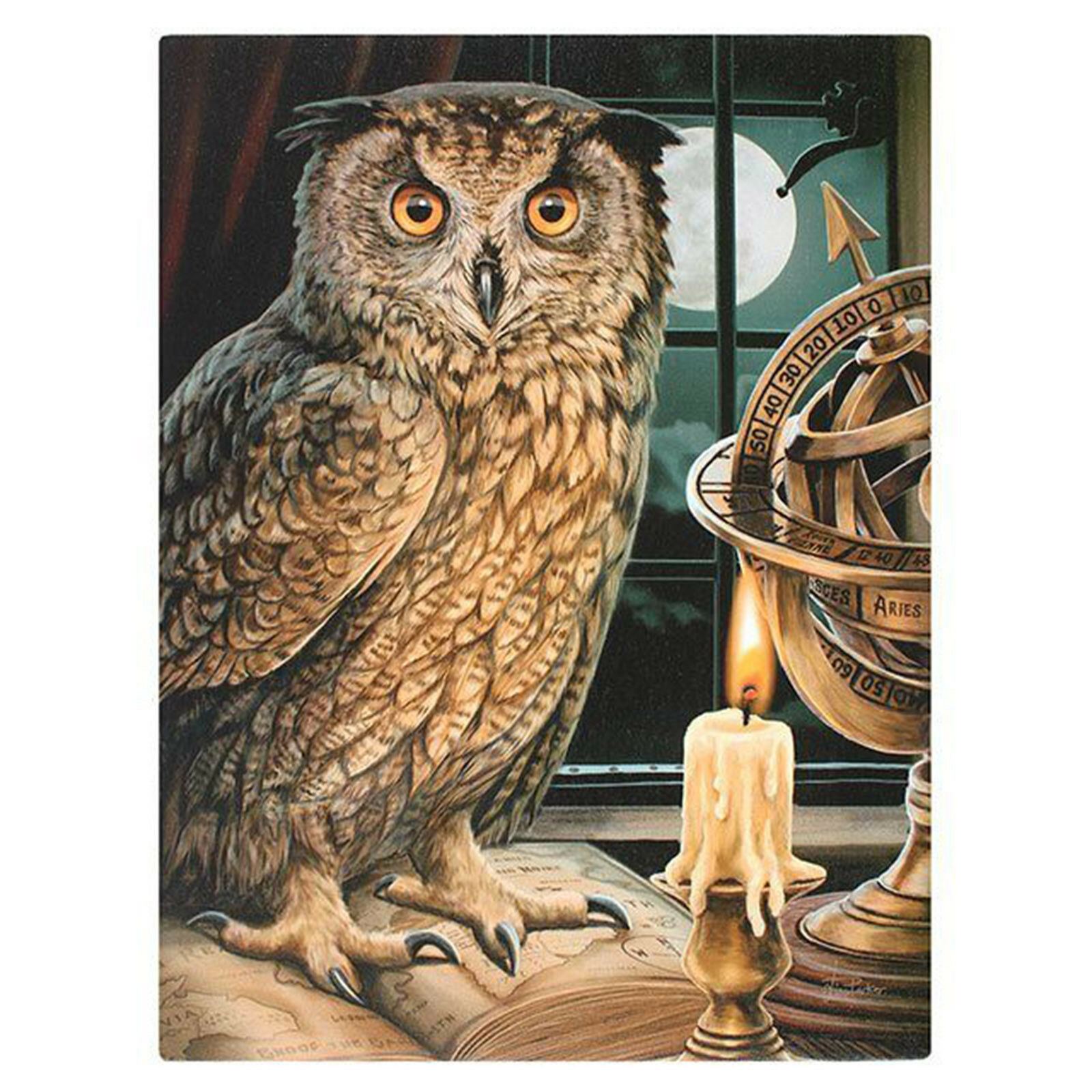 Lisa Parker Fantasy Wall Art Canvas Hanging Plaque Witch Cat Wolf Owl ...