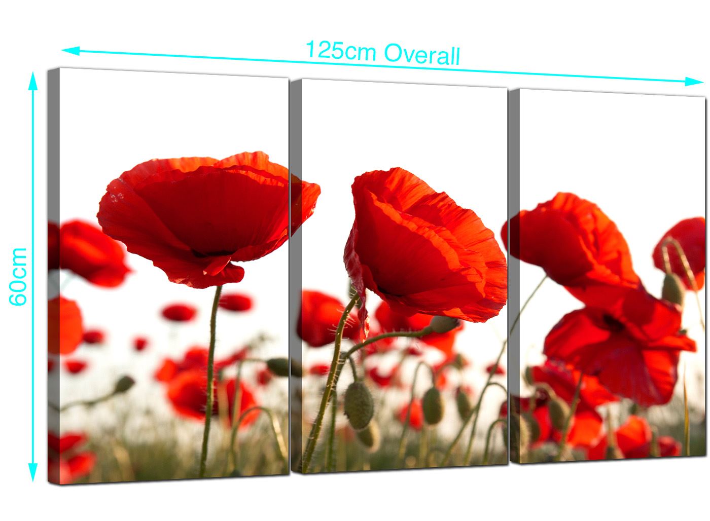 Set of Three Red Poppy Canvas Prints Pictures Wall Art Poppies 3056 ...