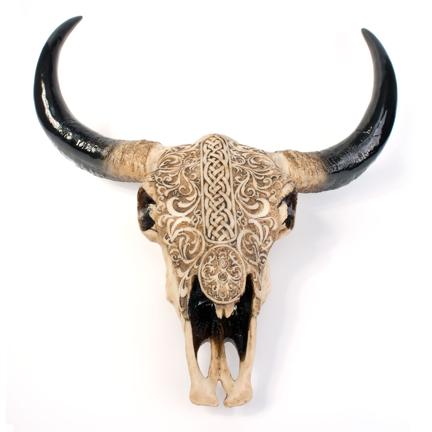 First Nation Buffalo Skull 44cm High Animal Head Bison Cattle Skulls ...