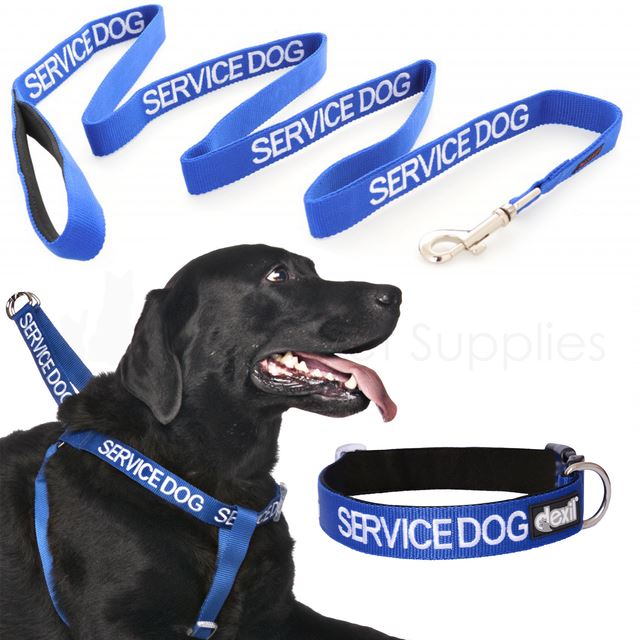 Dexil SERVICE DOG Worded Dog Lead, Buckle Collar, Strap, Vest Harness ...