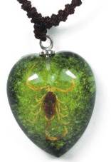 Real Insect Golden Scorpion Heart Necklace Love Pendent Charm ...
