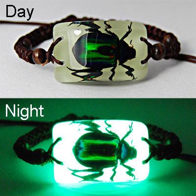 Real Insect Bracelet Jewellery Charms - Beetles Spiders Crabs Scorpions ...