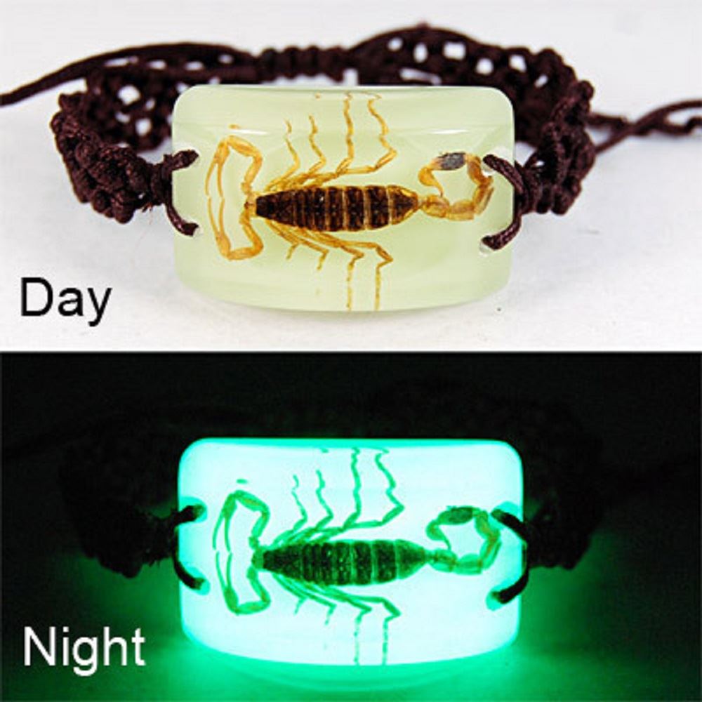 Real Insect Bracelet Jewellery Charms - Beetles Spiders Crabs Scorpions ...