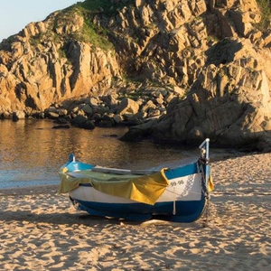 L'independentisme sembla que comença a cohesionar-se