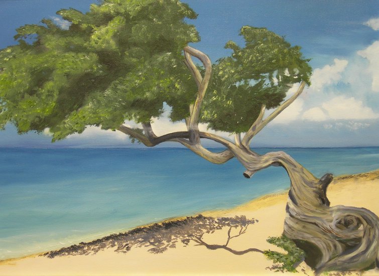 Carla Klaasse - Divi Divi boom