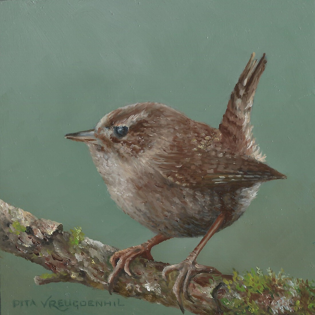 exto.nl | Winterkoninkje van Pita Vreugdenhil