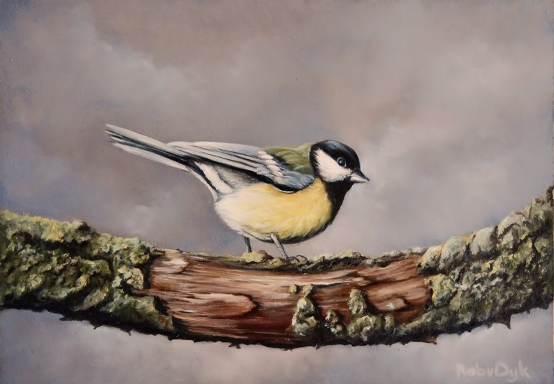 exto.nl | koolmeesje van Rob van Dijk