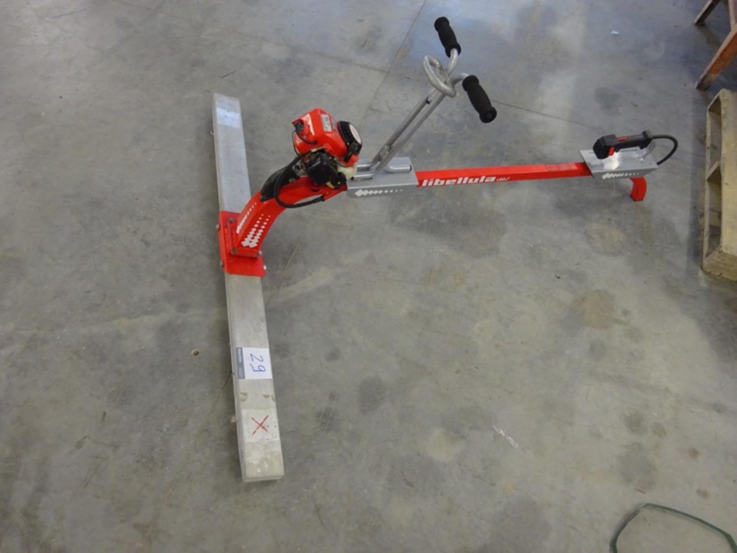 Lotto Staggia vibrante Libellula