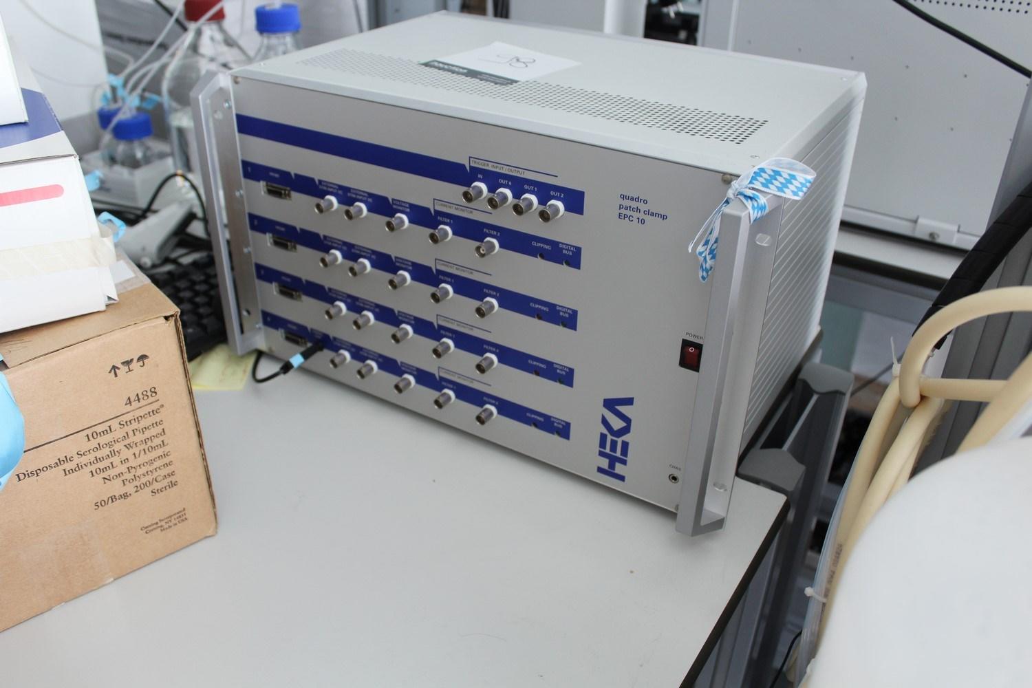 Lot Automatic patch-clamp system