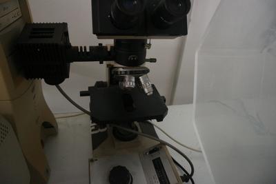 Lot Olympus Microscope