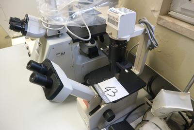 Lot Nikon TMS microscope