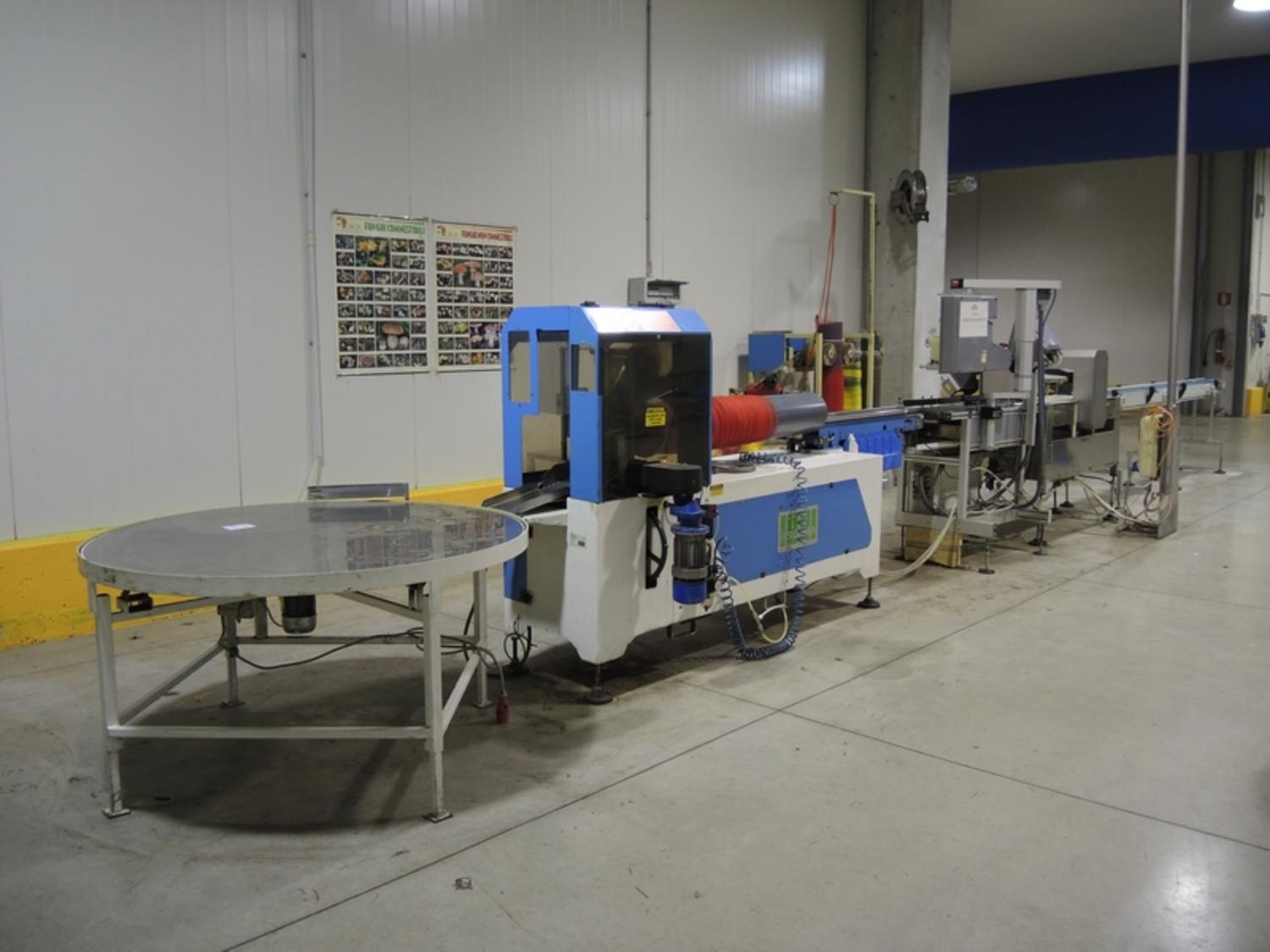 Lot Punnet machine Sorma pk8 112