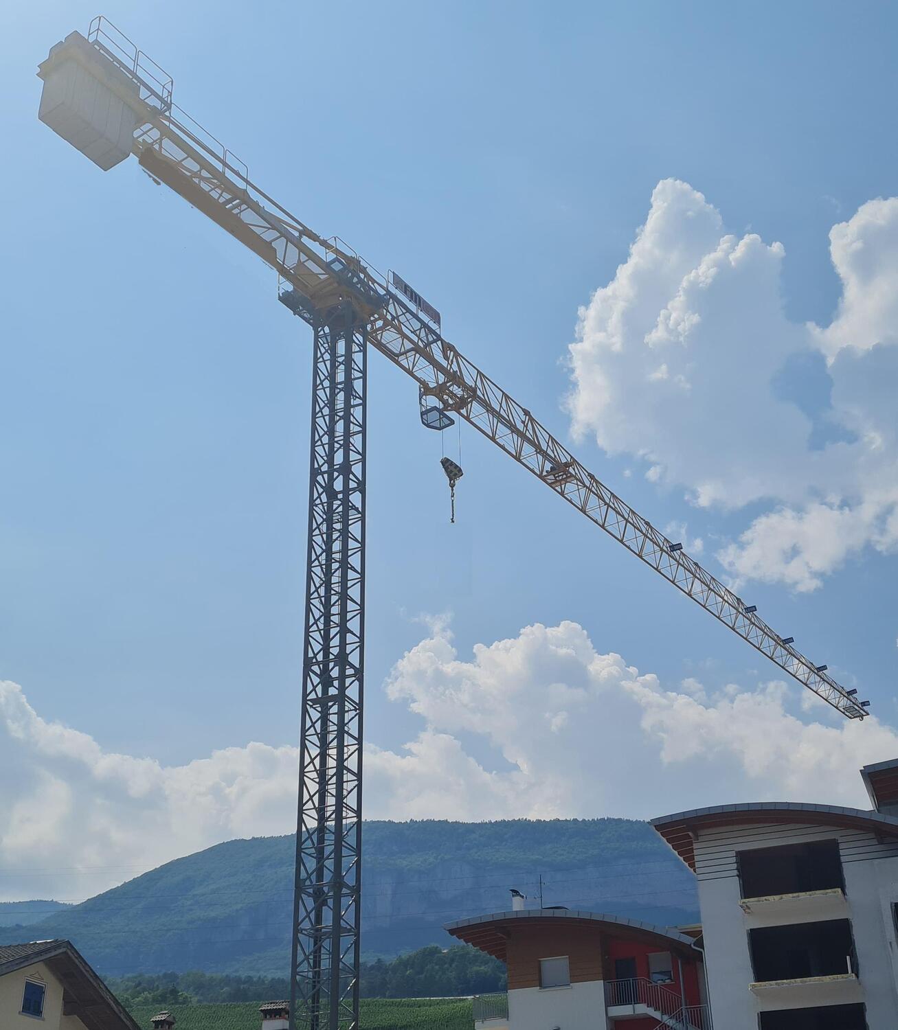 Lotto Gru Fm TLX 1345