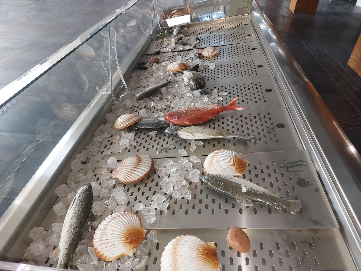 Lot Inox Pack fish display counter