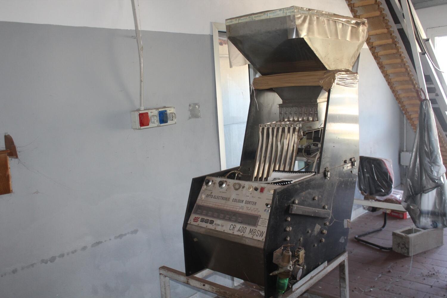 Lotto Selezionatrici Sea Bologna e spazzolatrice per pinoli