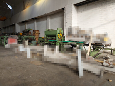 Asta Linea di spianatura e taglio trasversale Lisse-Dimeco