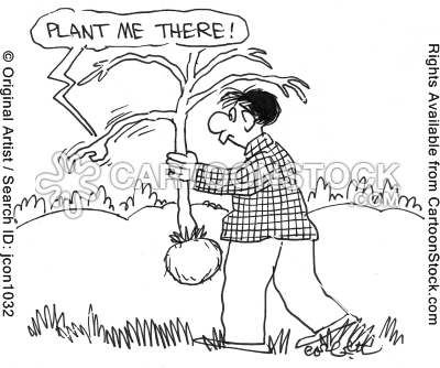 why we shouldn't cut down trees. by maria2000 - Infogram