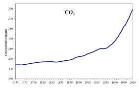 The fast carbon cycle by nguyto8720 - Infogram