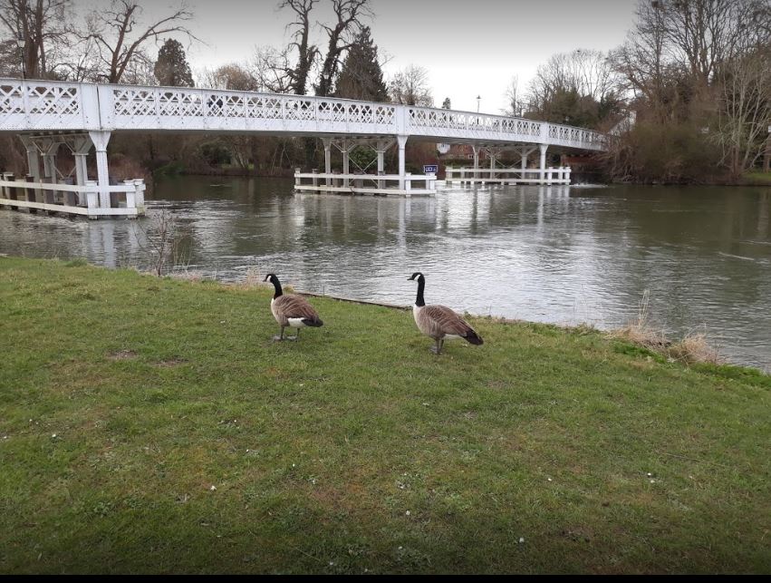 See dragon boats and wang wellies at Pangbourne Village Fete | getreading