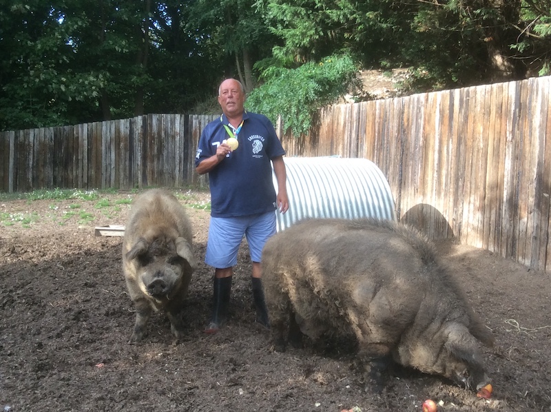Rare and famous pigs help local author fundraise for charity ...