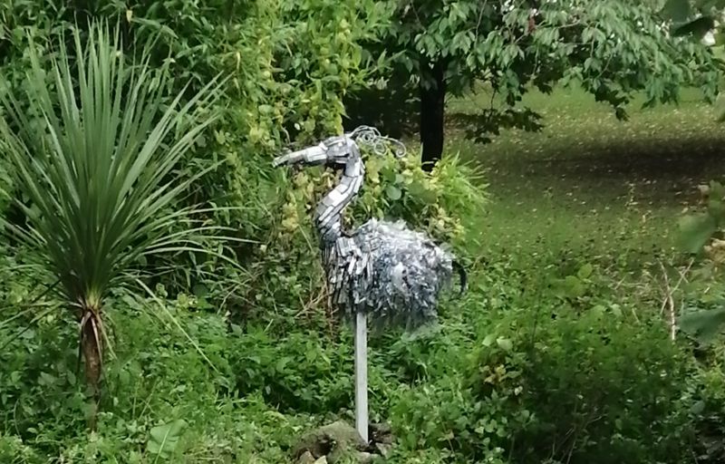 'Unusual flock' migrates to Shepton Mallet for bird trail | InYourArea ...