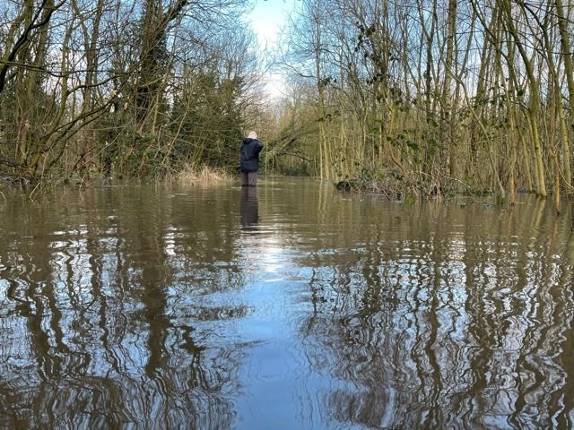 Lunt Meadows Nature Reserve unveils new five-year heritage project ...