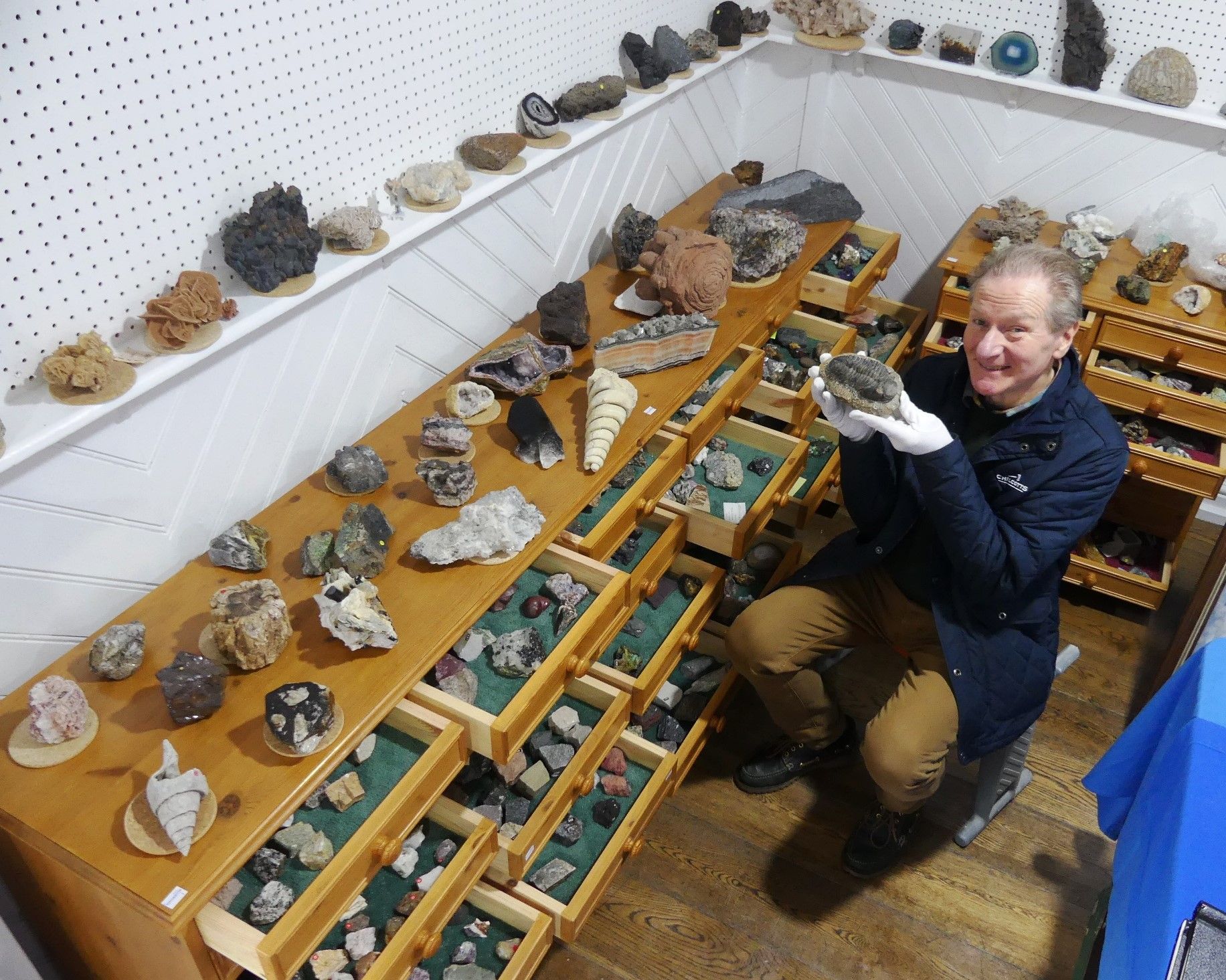 Fascinating collection of fossils goes under the hammer at auction ...