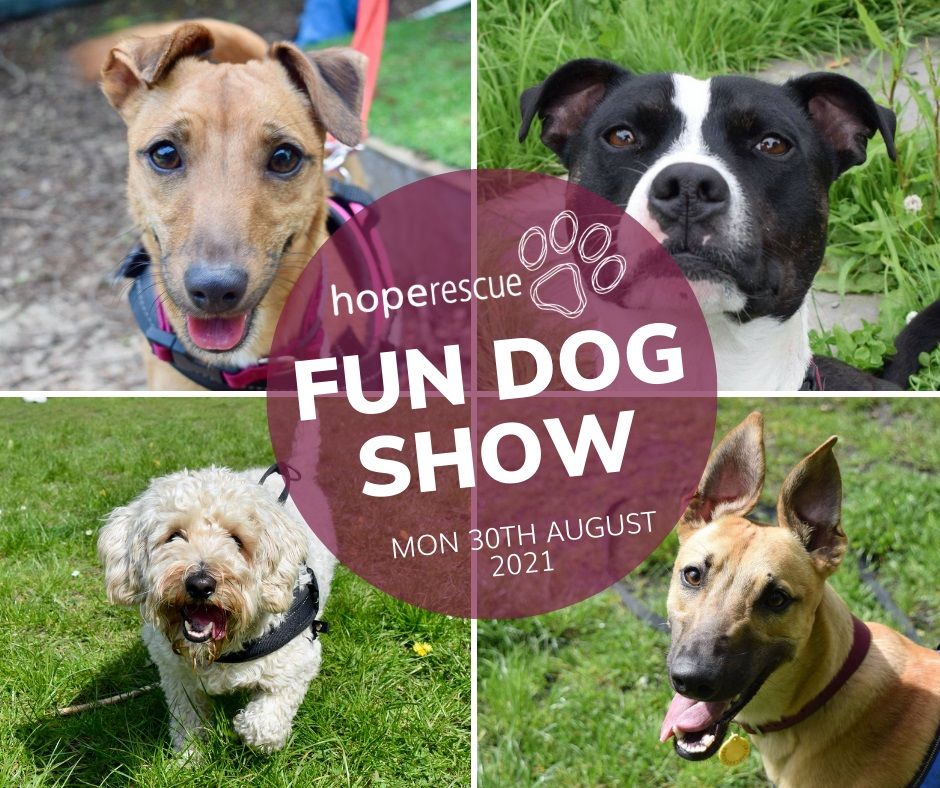 Join Hope Rescue For The Fun Dog Show In Cwmbran This Bank Holiday Join Hope Rescue For The Fun Dog Show In Cwmbran This Bank Holiday